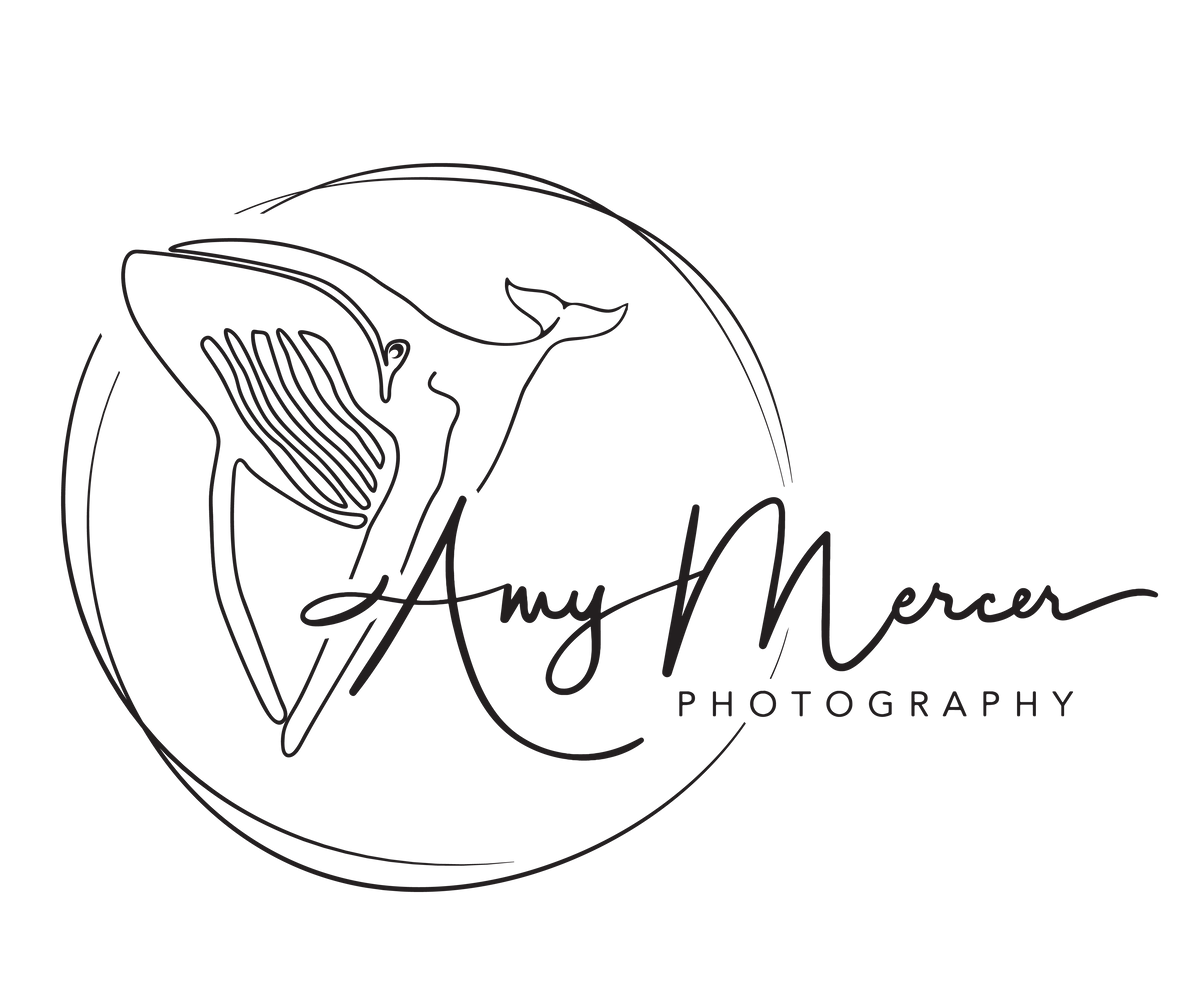 Amy Mercer Photography - Aerial & Underwater Photography