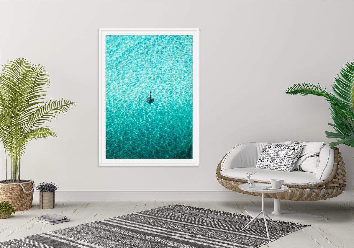 SOLO RAY – Amy Mercer Photography